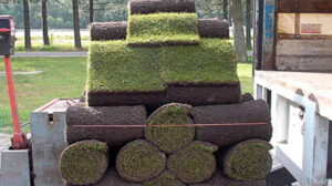 Waarom voor ons kiezen? - Rolgazon | Rolgazon® – Topkwaliteit in graszoden