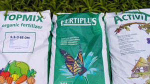 Waarom voor ons kiezen? - Rolgazon | Rolgazon® – Topkwaliteit in graszoden