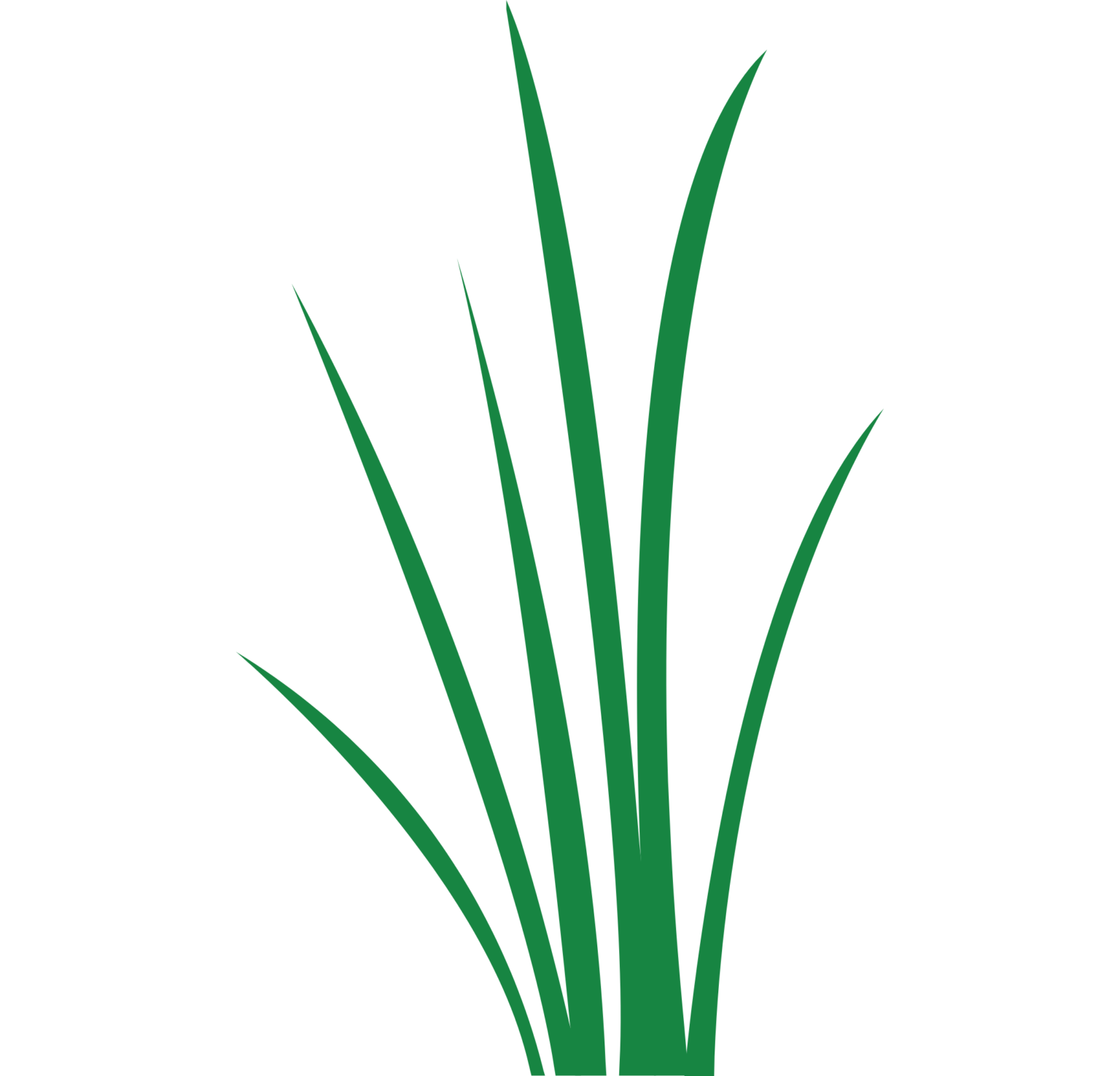 Rolgazon® - Rolgazon | Rolgazon® – Topkwaliteit in graszoden